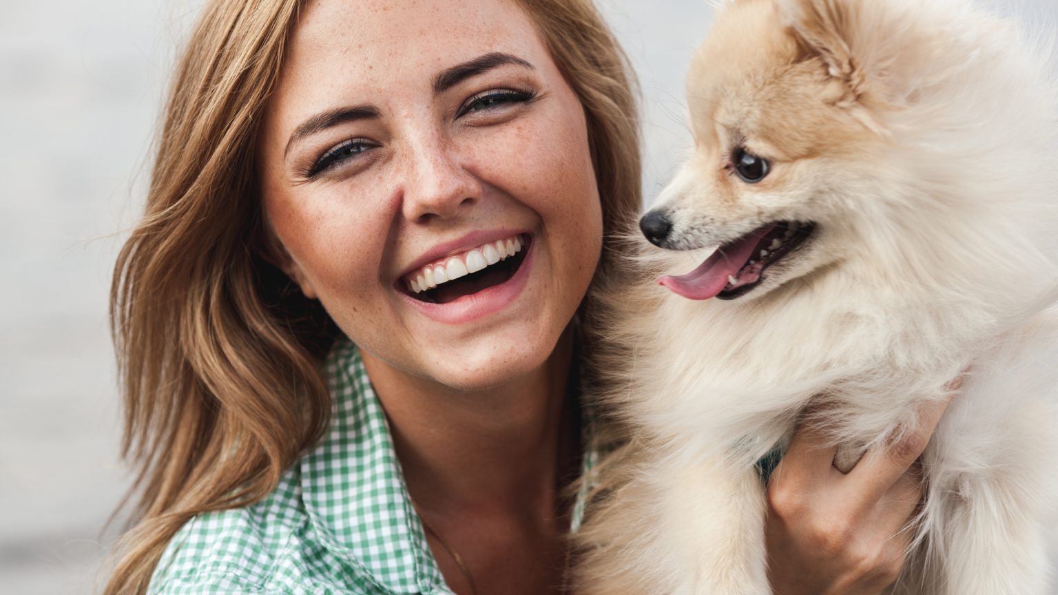 Oslo Dog Show - Oslo Dog Show