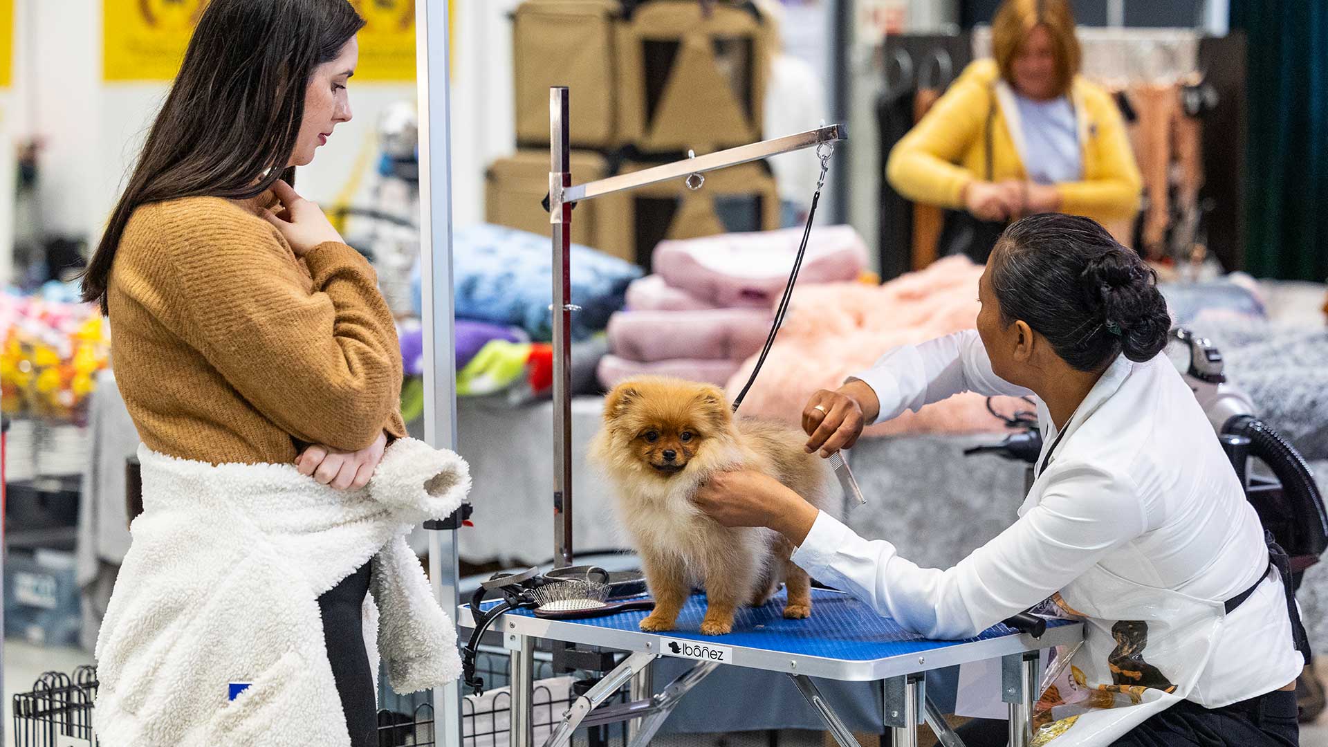 Velkommen til Oslo Dog Show - Oslo Dog Show