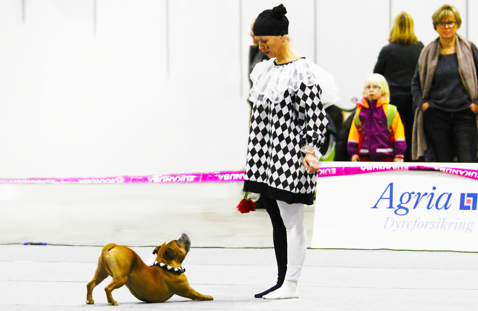Velkommen til Oslo Dog Show - Oslo Dog Show