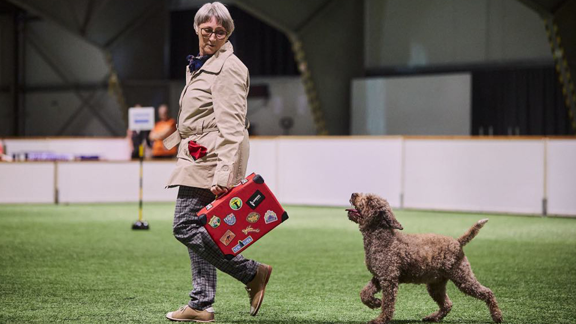 Velkommen til Oslo Dog Show - Oslo Dog Show