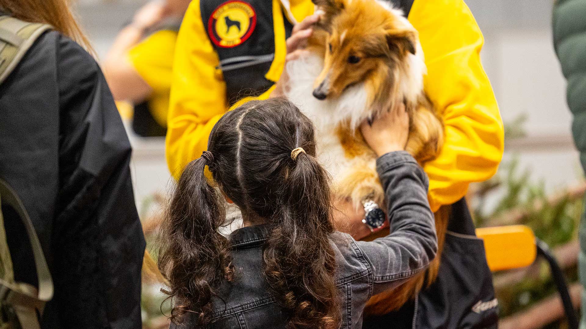 Velkommen til Oslo Dog Show - Oslo Dog Show