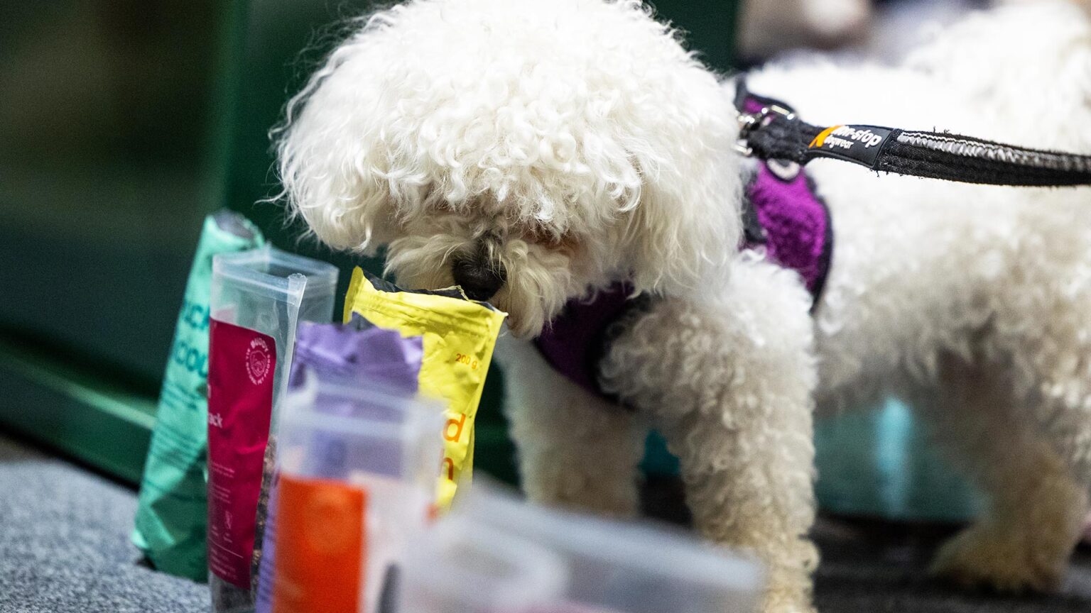 Velkommen til Oslo Dog Show - Oslo Dog Show