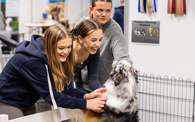 Velkommen til raseparade - Oslo Dog Show